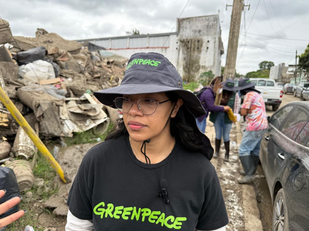 Greenpeace México documenta afectaciones ambientales tras inundaciones ...