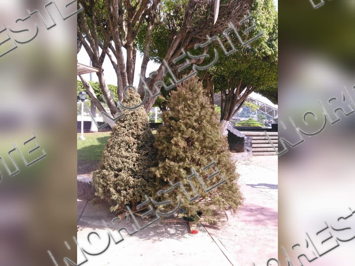 Próximo lunes la campaña Econavidad 2026 en Poza Rica - Noreste