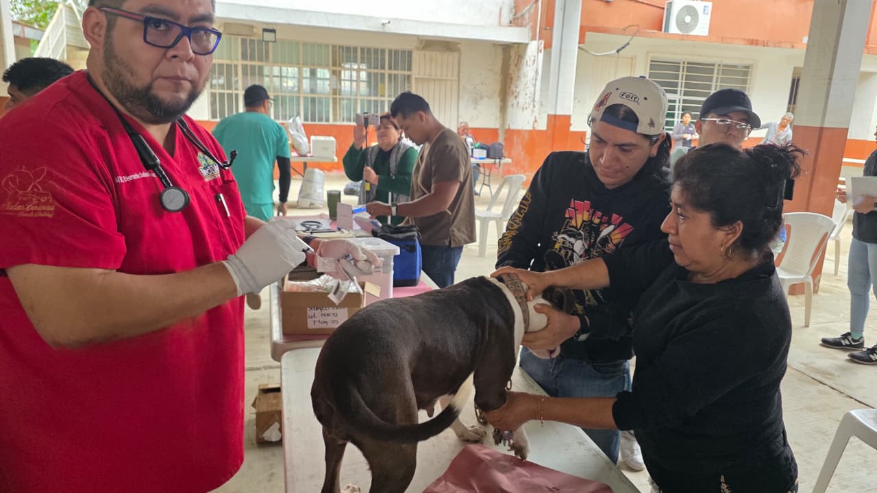 Con éxito se realizó jornada de salud animal en la colonia Ignacio de ...