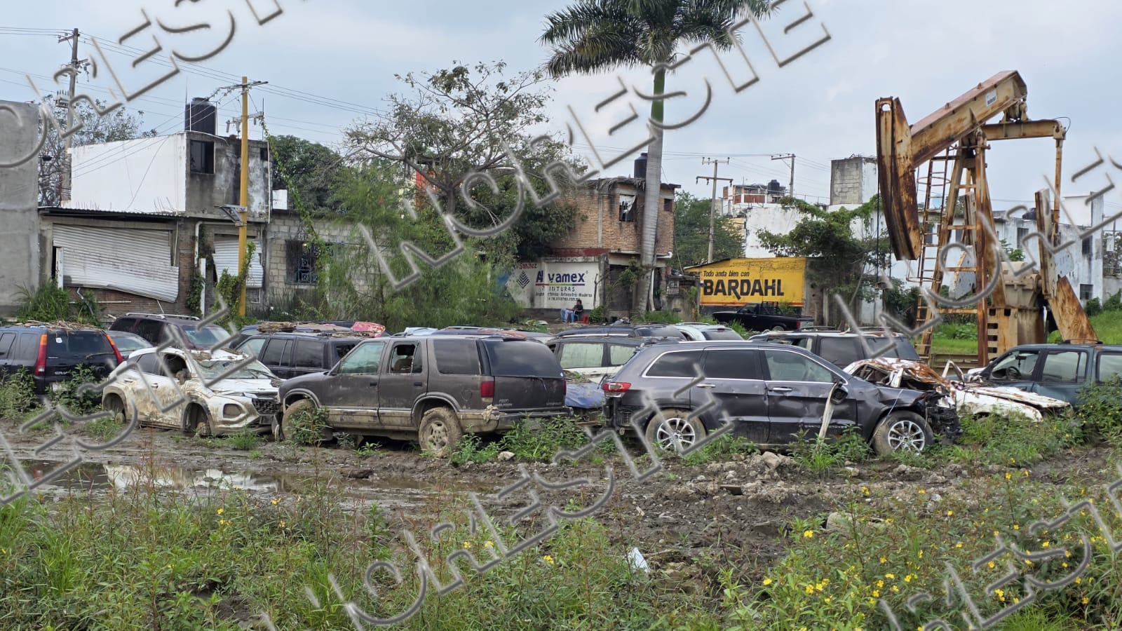 Ayuntamiento de Poza Rica mantiene bajo resguardo unos 60 vehículos ...