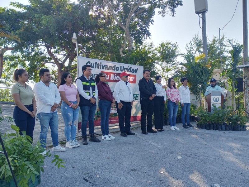 En marcha reforestación masiva en Tihuatlán - Noreste